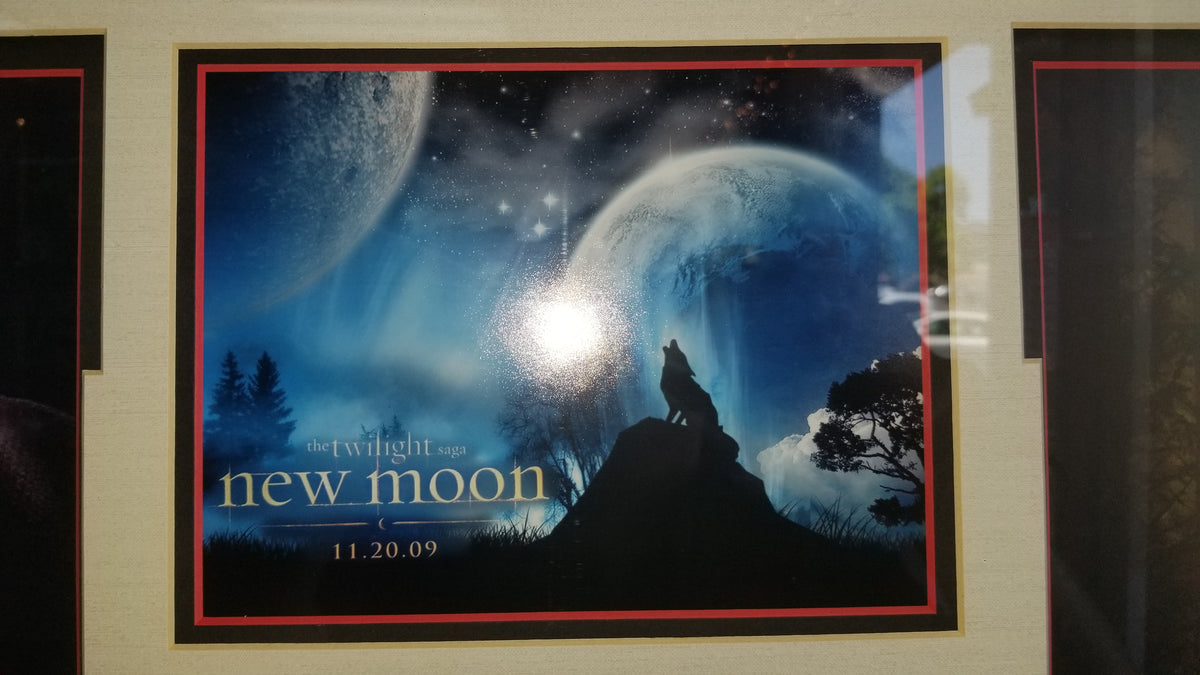 "Twilight" Autographed Cast Deluxe Shadowbox! Millionaire COA pictured ...